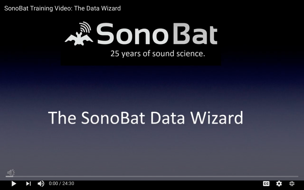 Video Guides – SonoBat UK